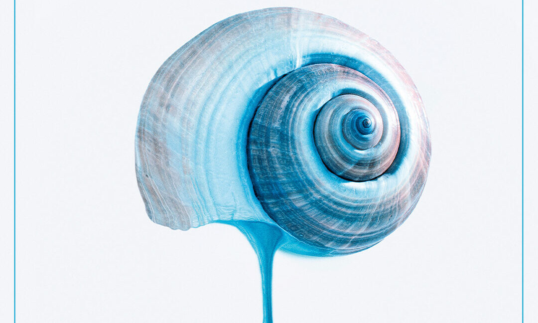 "O Último Azul": premiado filme de Gabriel Mascaro ganha teaser e ...